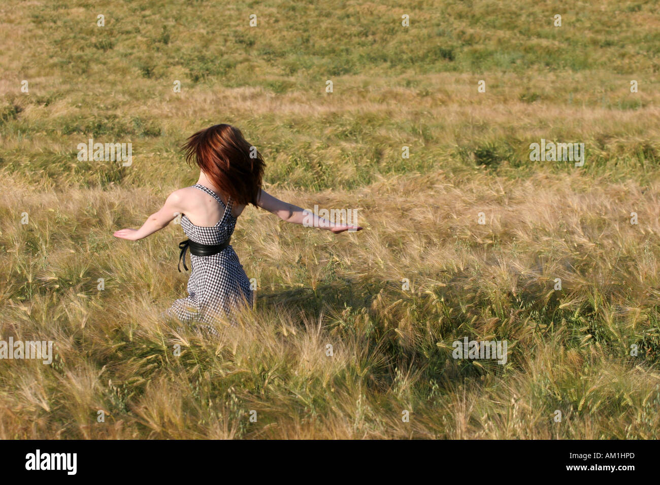 girl dance in the middle of wheat field Stock Photo - Alamy