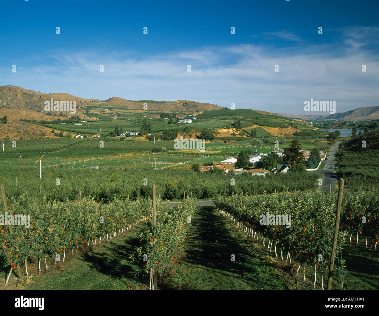 USA Washington State Chelan Stock Photo - Alamy