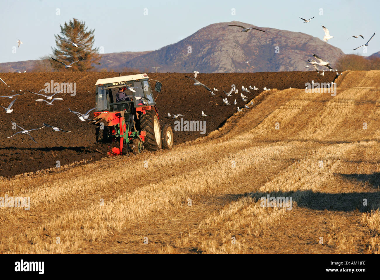 Kverneland hi-res stock photography and images - Alamy