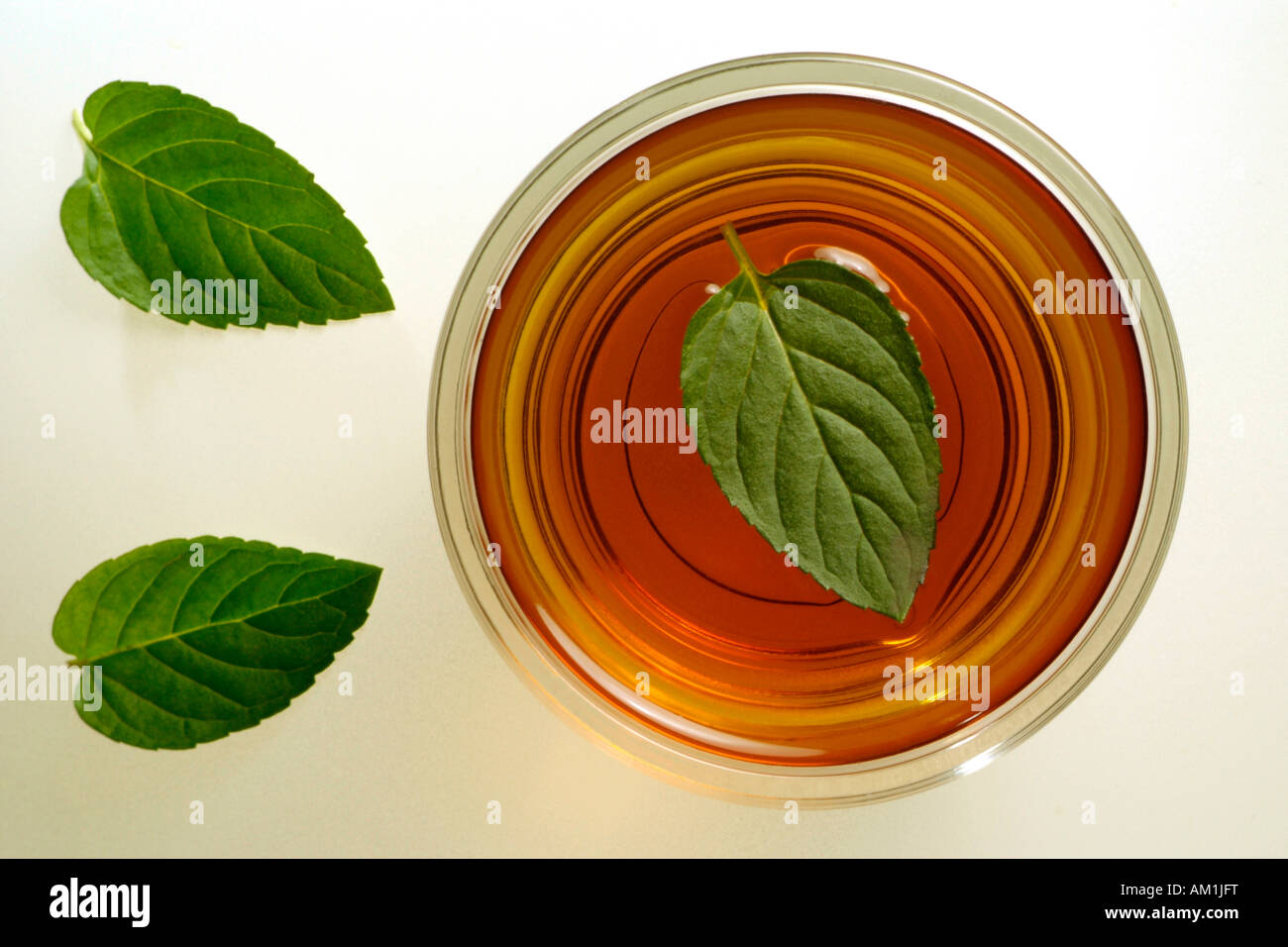 Pfefferminztee Stock Photos & Pfefferminztee Stock Images - Alamy