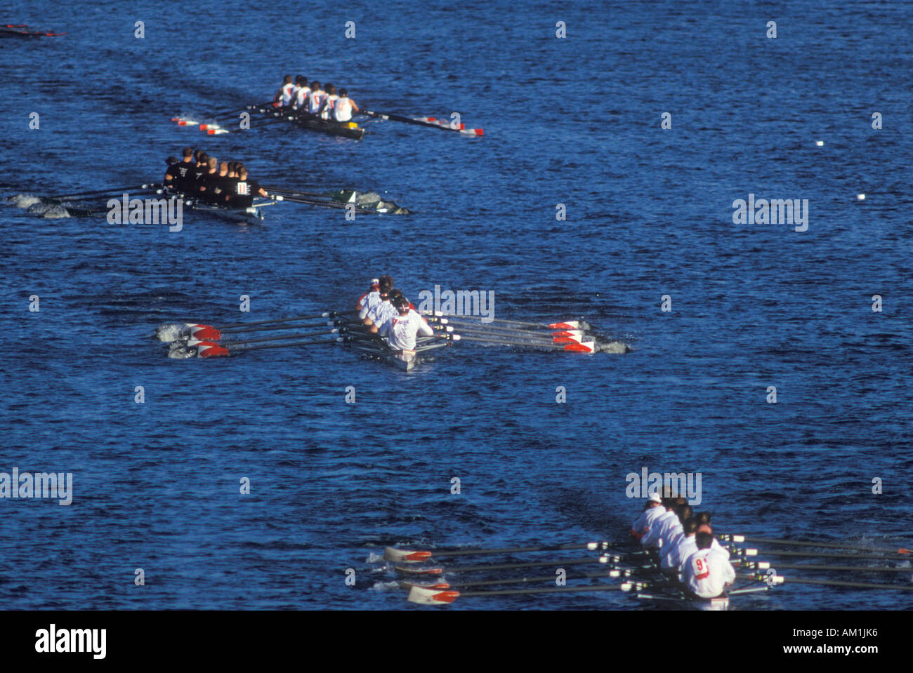 Start of Rowing Race Charles Regatta Cambridge Massachusetts Stock ...