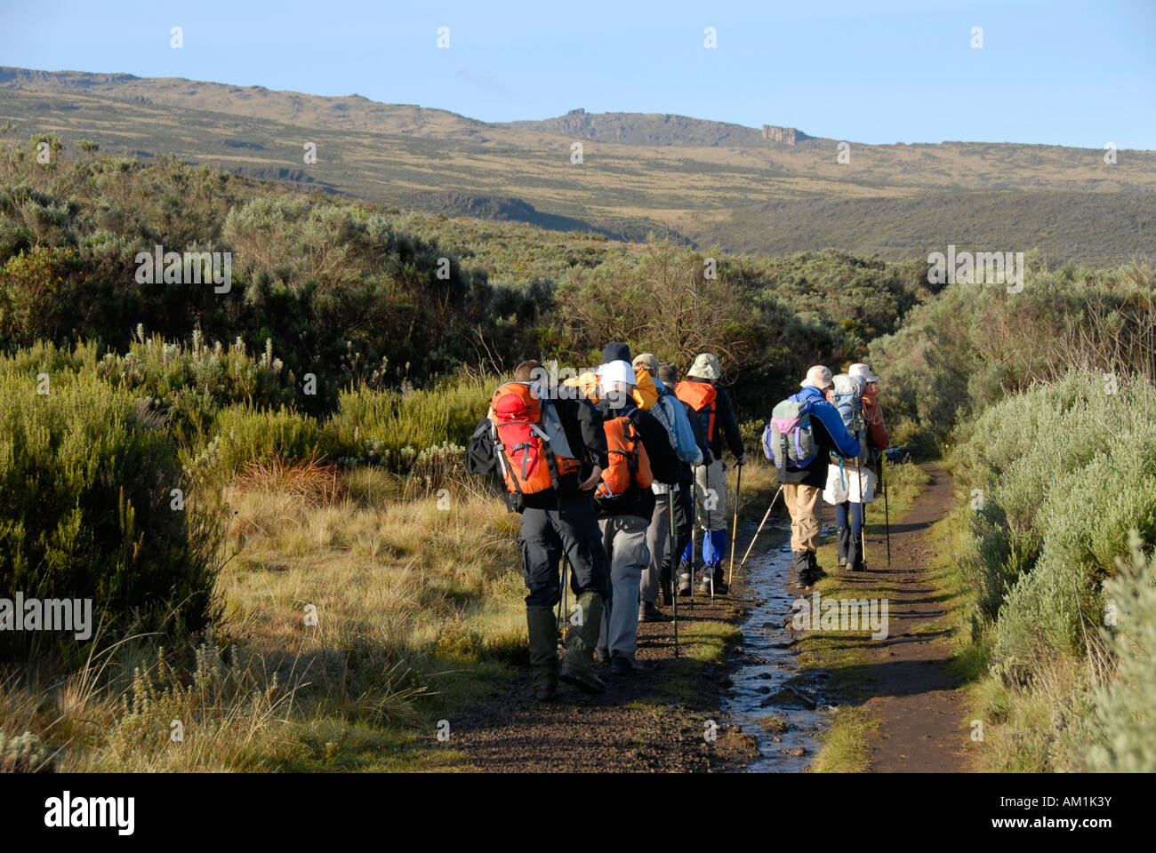 Trekking on mount kenya hi-res stock photography and images - Alamy