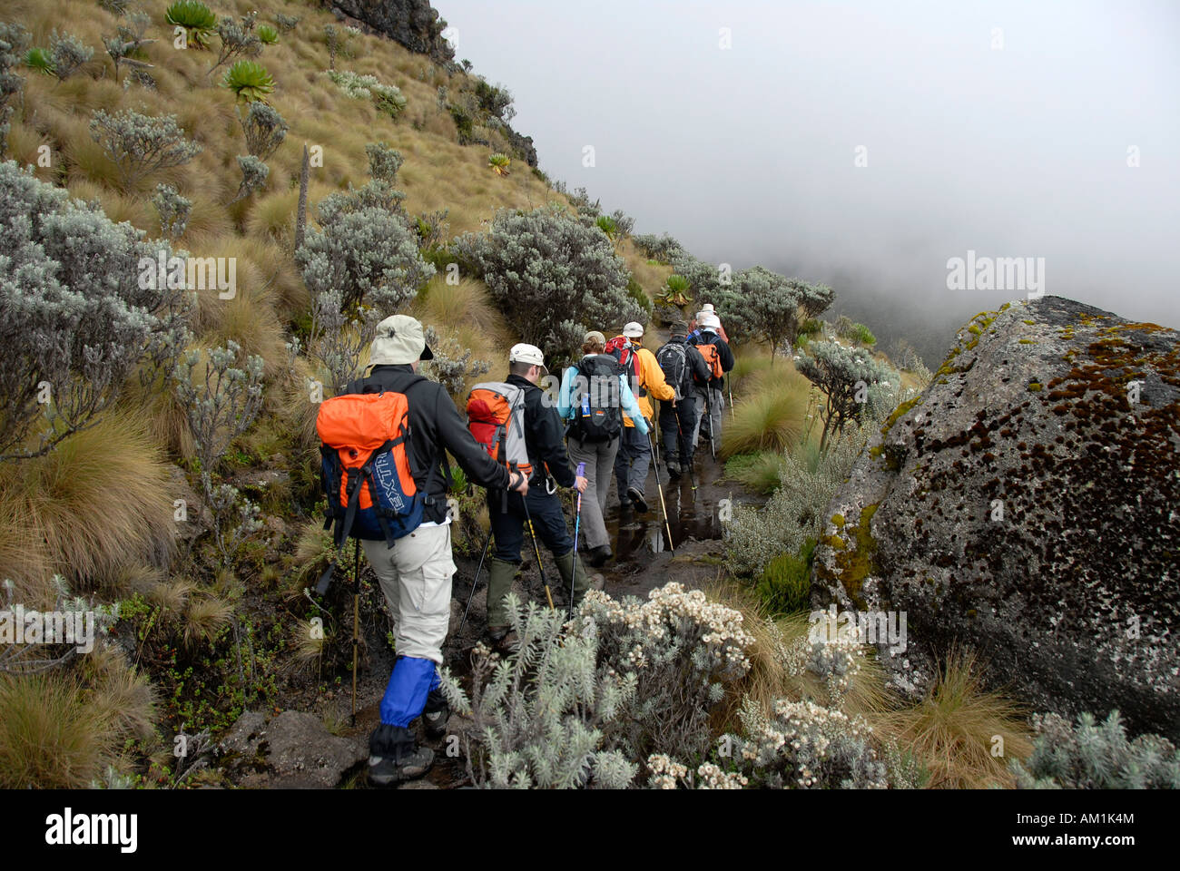 Ost wet hi-res stock photography and images - Alamy