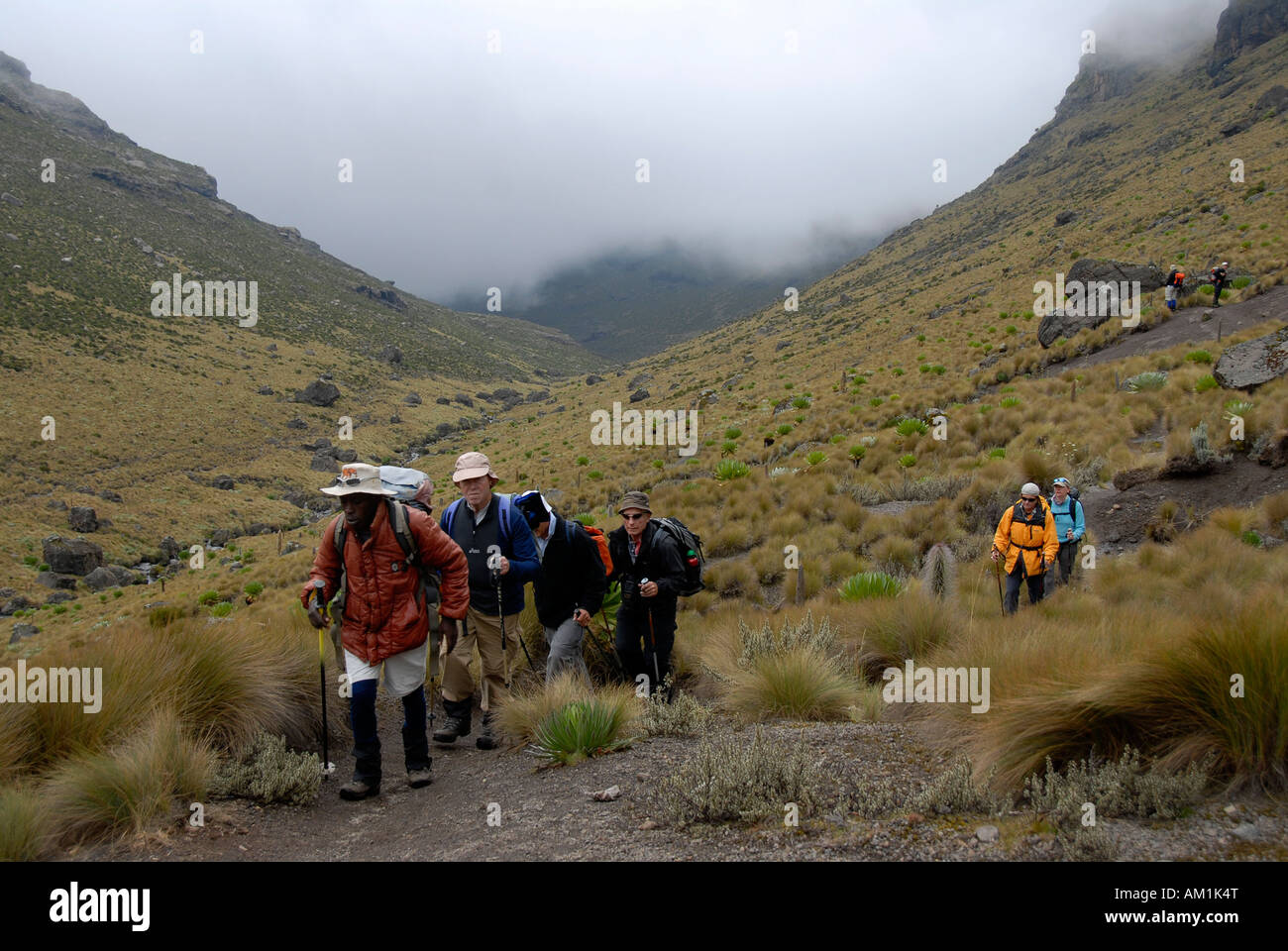 Group of trekkers with local guide on a footpath in fen landscape Mount ...