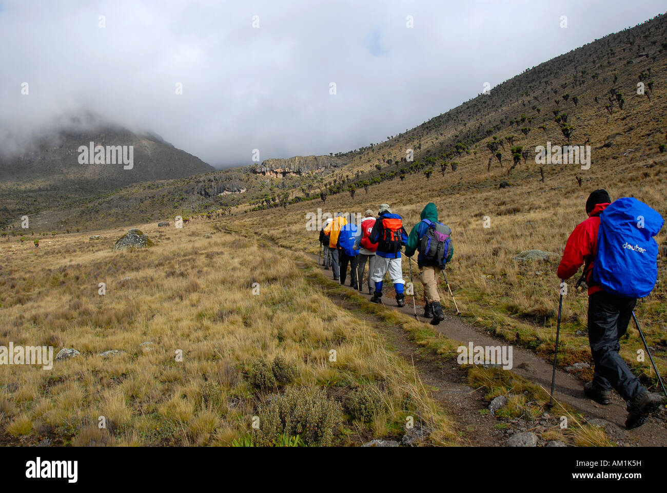 Group of trekkers on a footpath in fen landscape Mount Kenya National ...