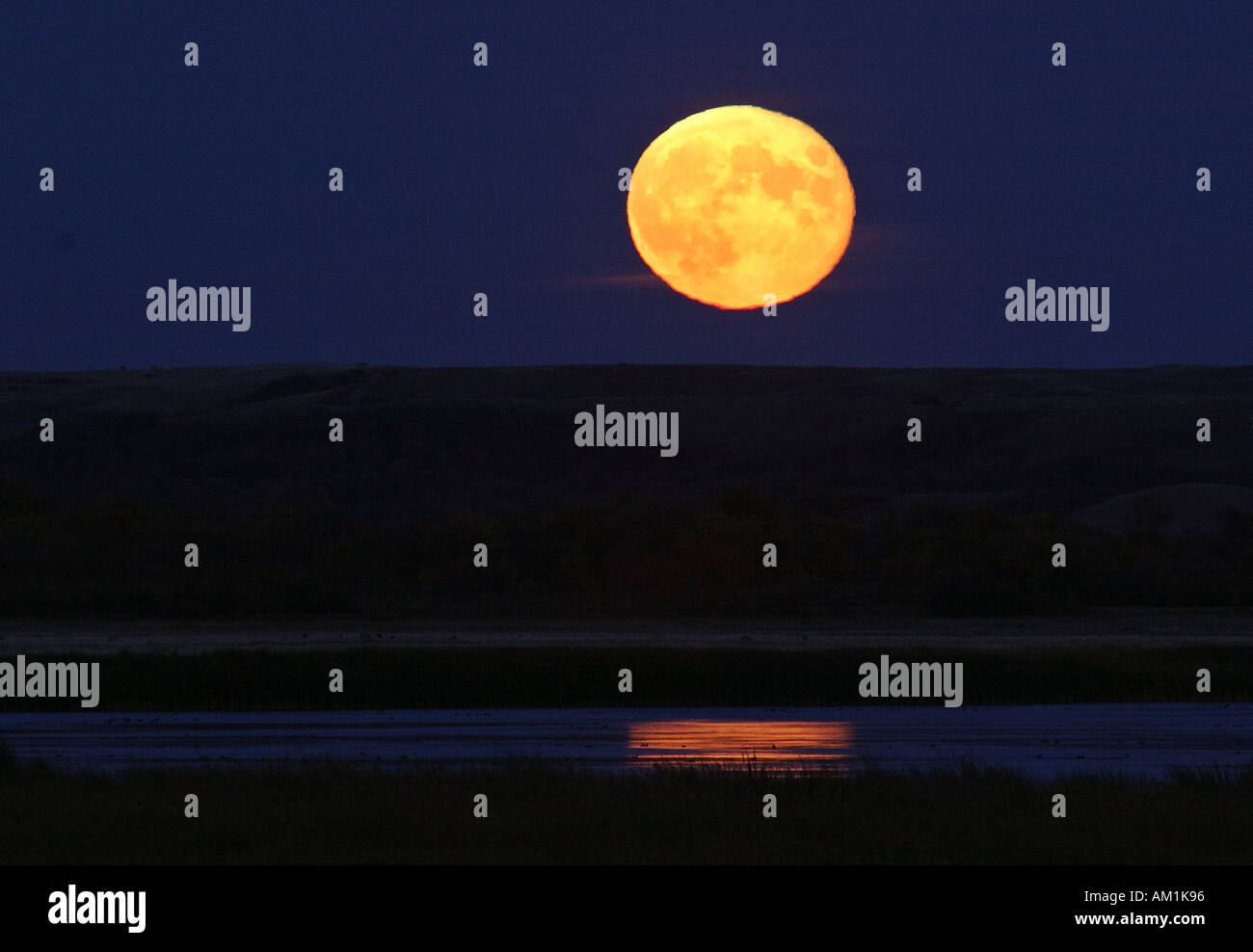 A full moon reflecting off water at Nicolle Flats in scenic Southern ...