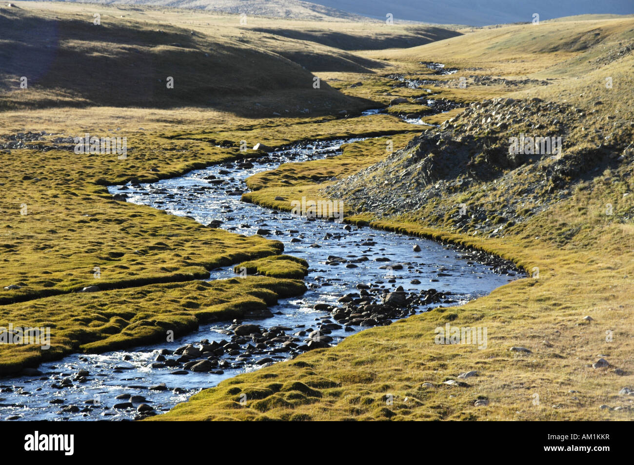 Blue shimmering river winds through the green steppe Kharkhiraa ...
