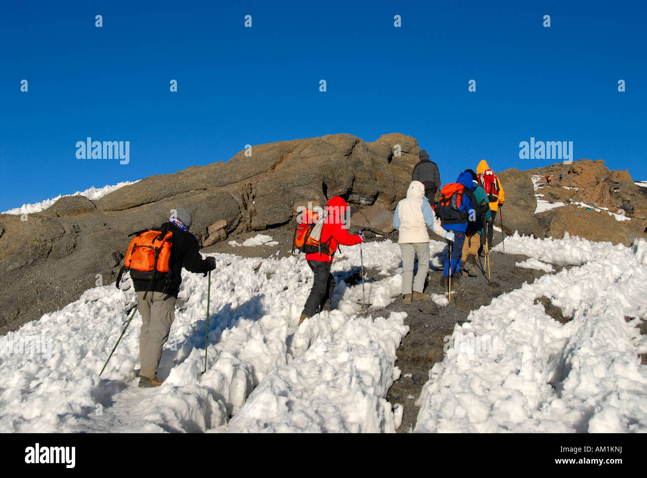 Group of mountaineers hike over harsh snow to Uhuru Peak crater rim ...
