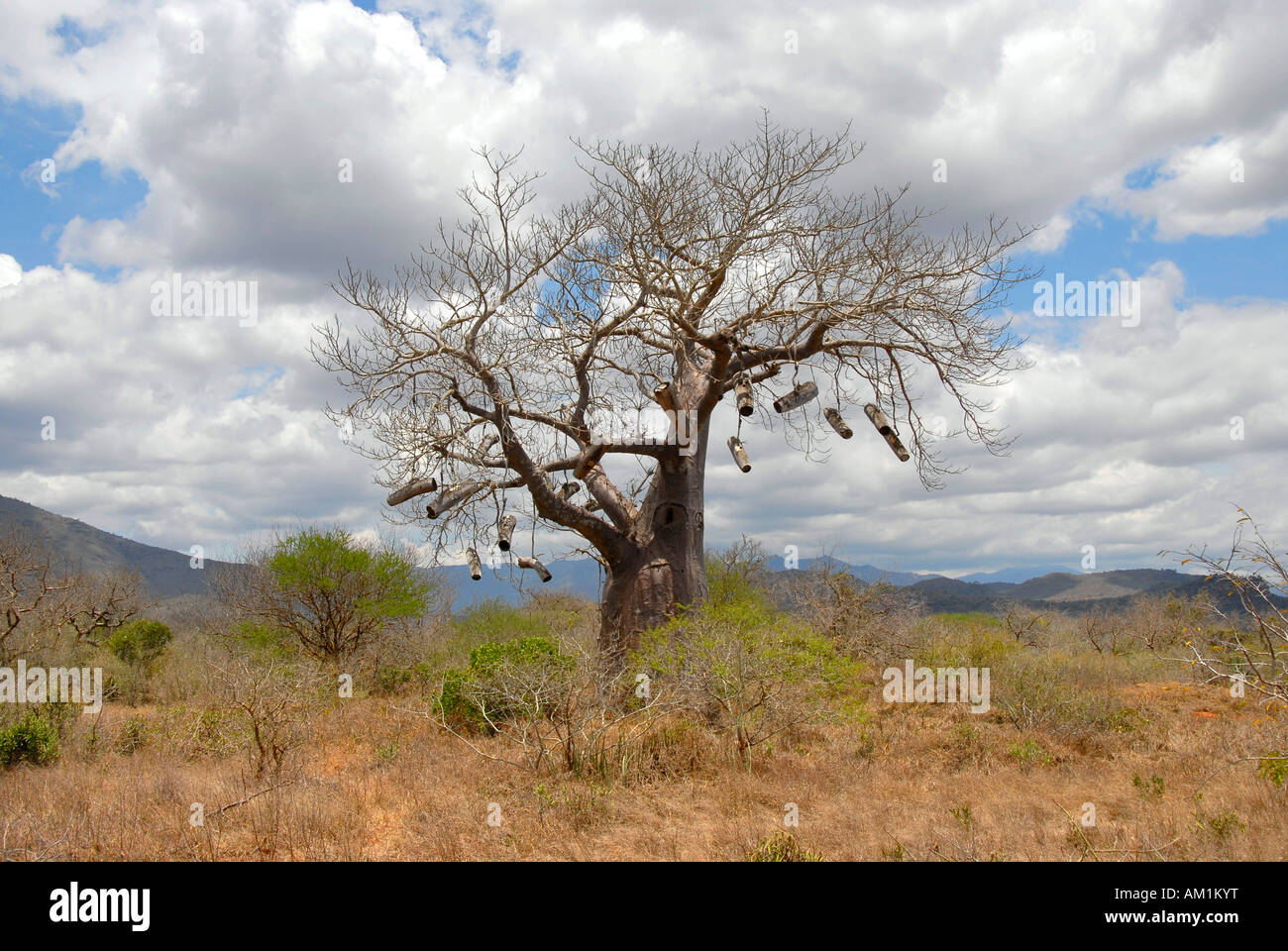African beehives hi-res stock photography and images - Alamy
