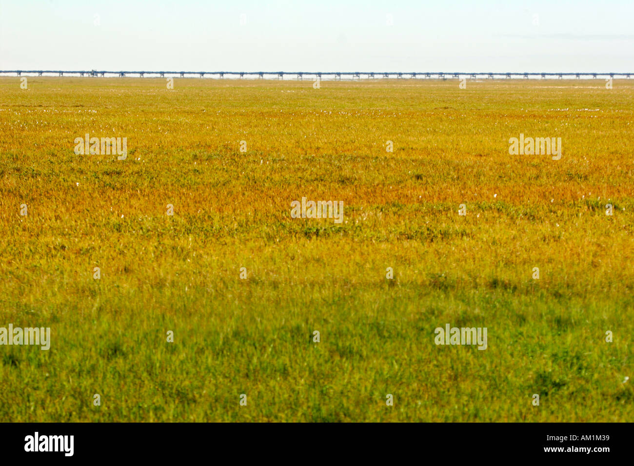 The Alaska Pipeline crosses the arctic costal plain Dalton Highway ...