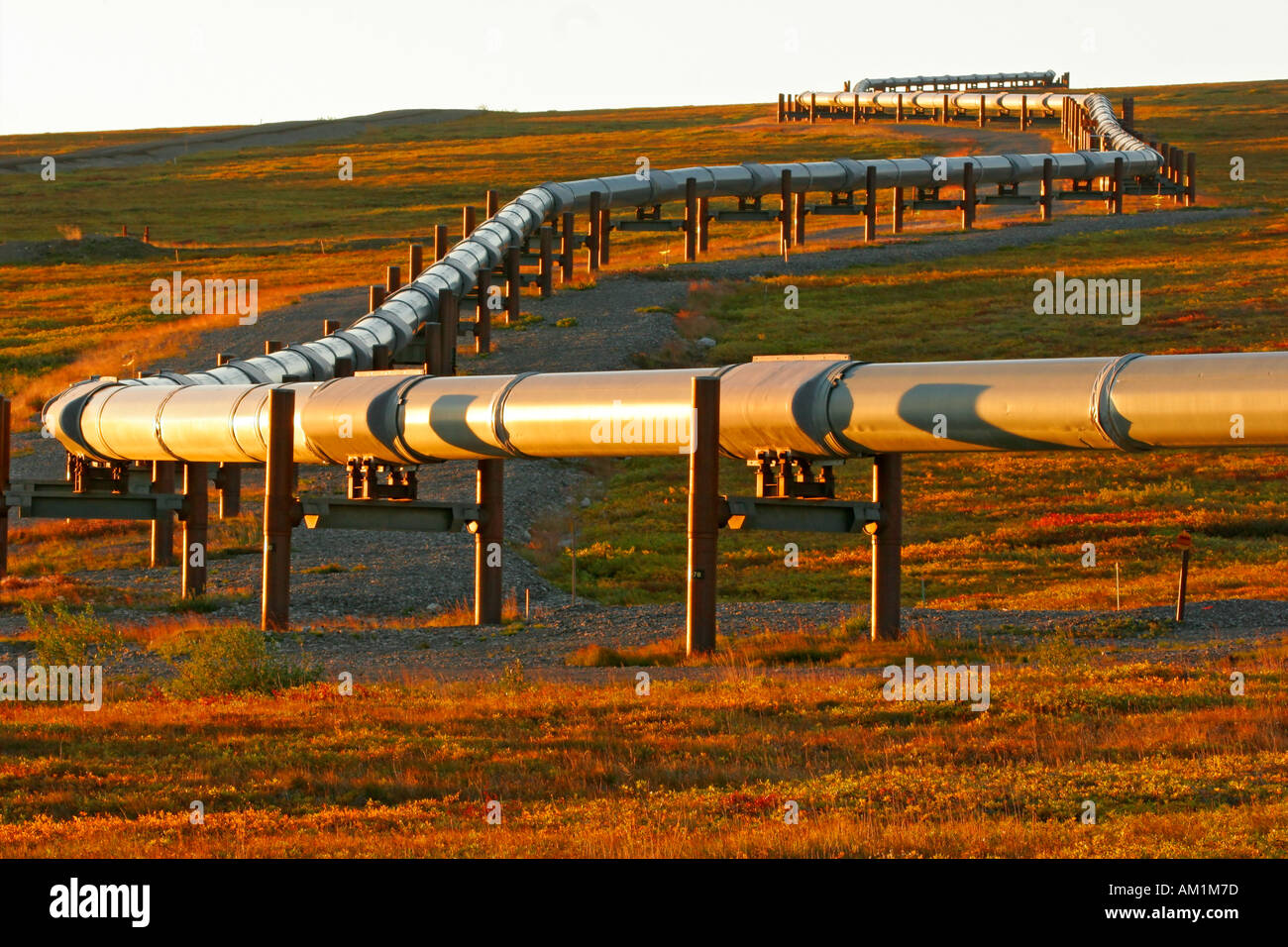 Ron pipes hi-res stock photography and images - Alamy