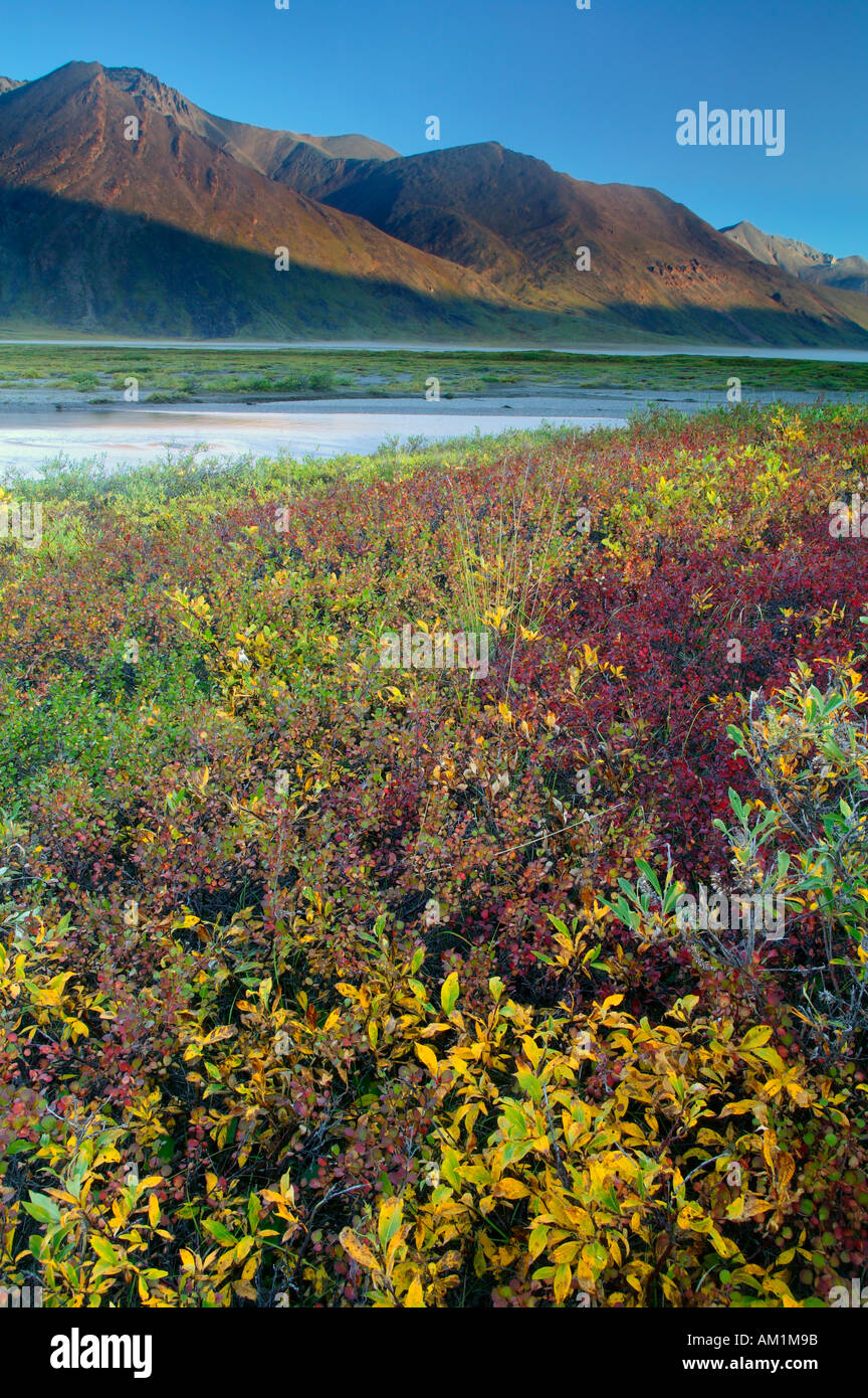 Looking across the Atigun River Valley at the Endicott Mountains of the ...