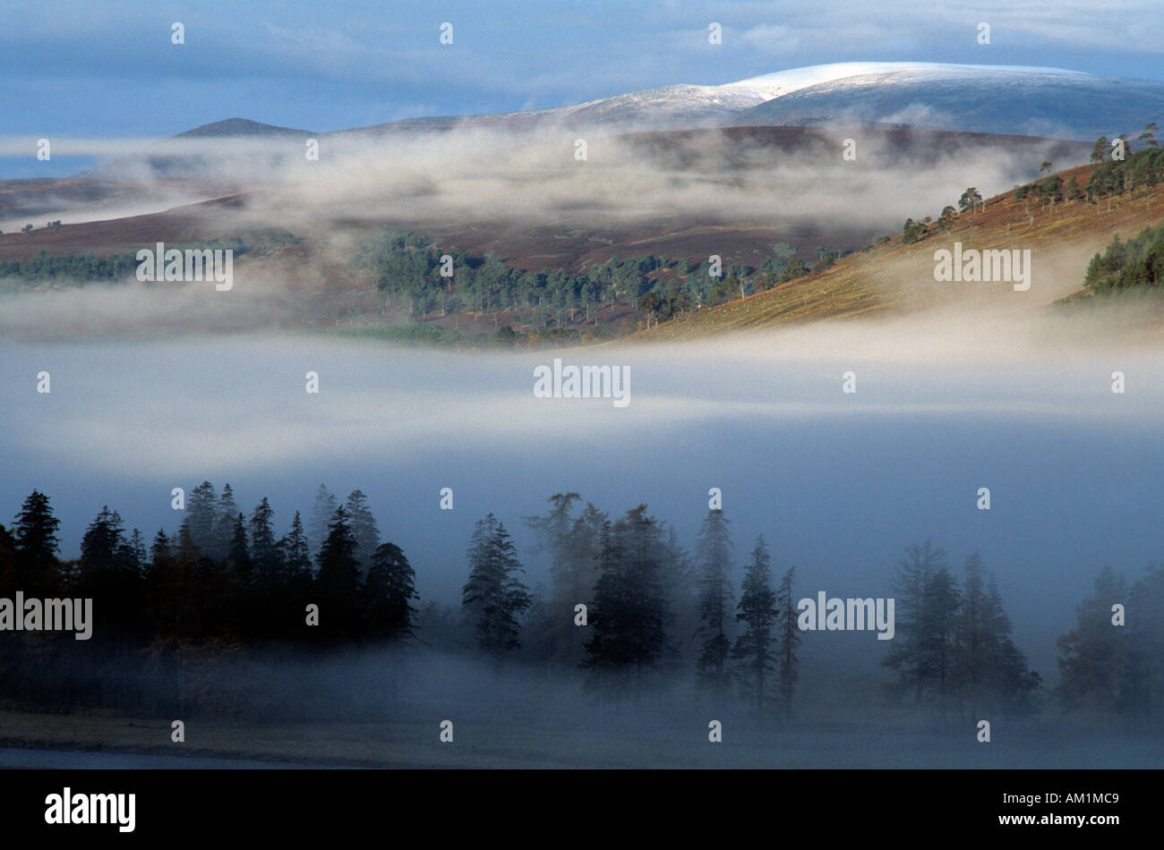 Inversions hi-res stock photography and images - Alamy