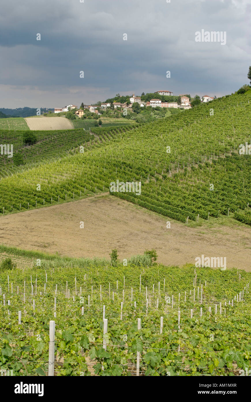 Hilly countryside between Asti and Alba Langhe Piedmont Piemonte Italy ...