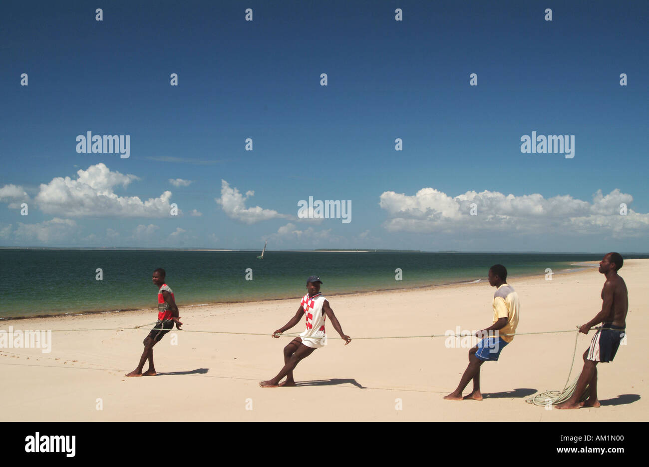 Fishermen working on the beach to pull in the fishing nets. Linga Linga ...