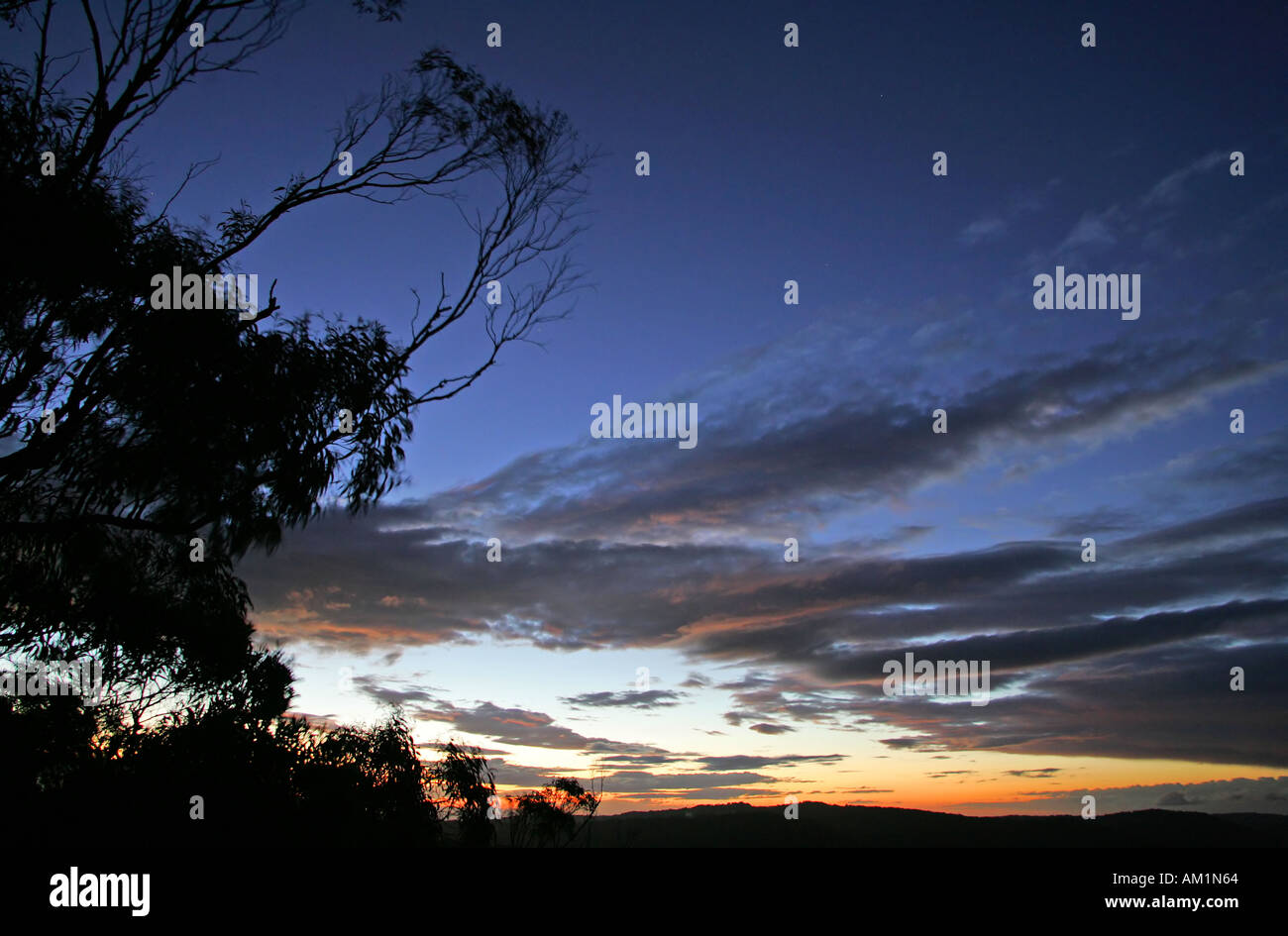 Border Ranges National Park Stock Photo - Alamy