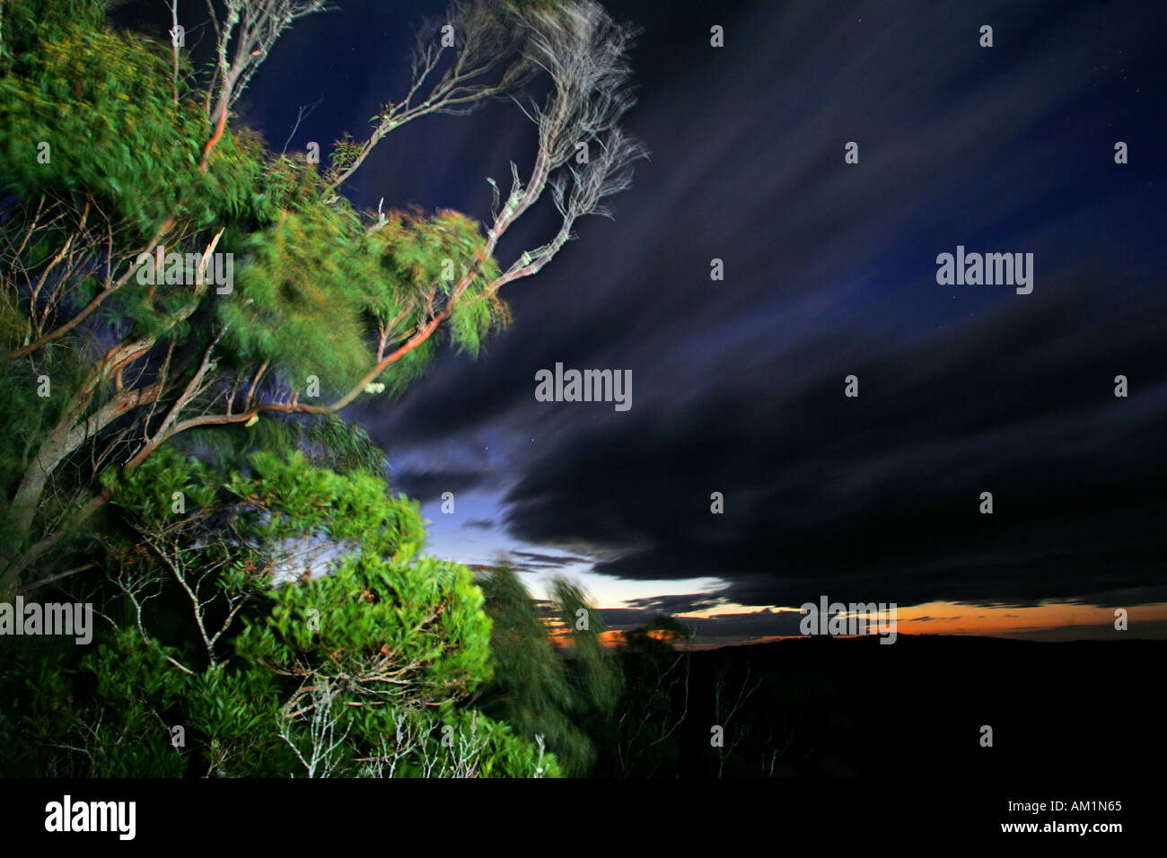 Border Ranges National Park Stock Photo - Alamy