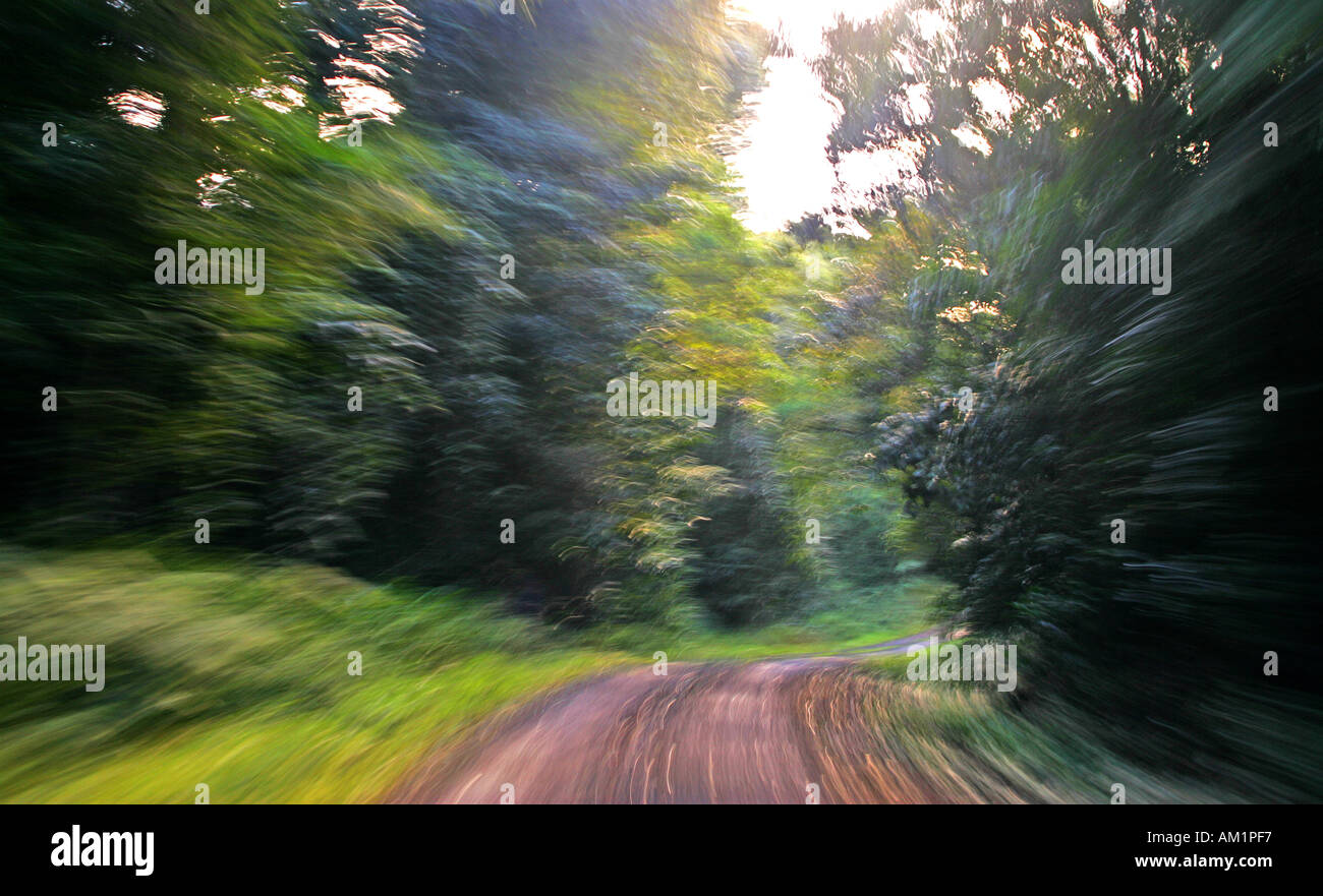 Road through rainforest in Border Ranges National Park Stock Photo - Alamy
