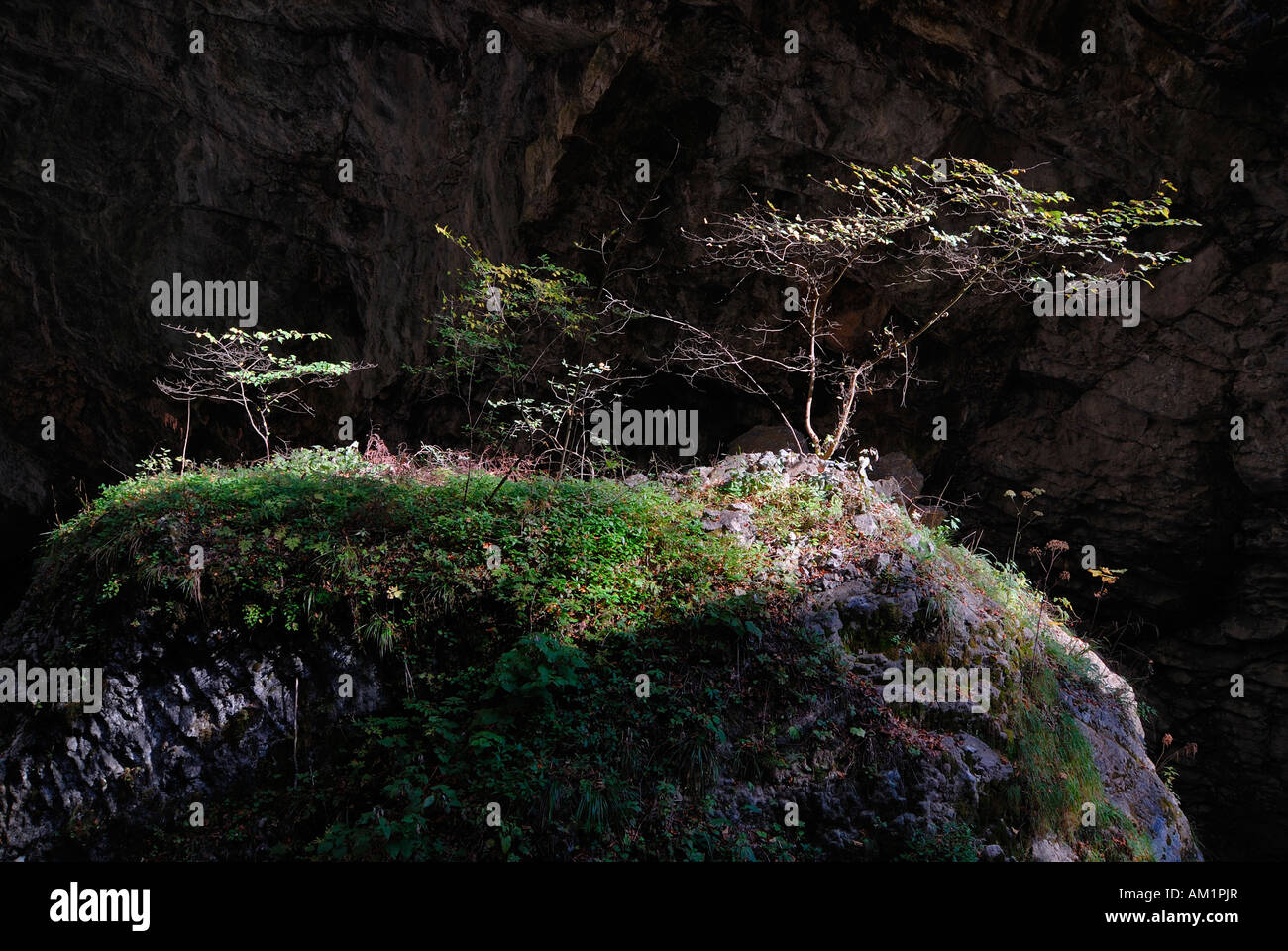 Duskinees hi-res stock photography and images - Alamy