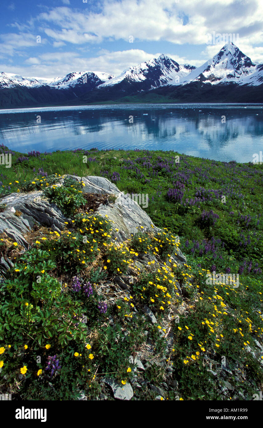 Slate Island in Aialik Bay Kenai Fjords National Park Alaska Stock ...