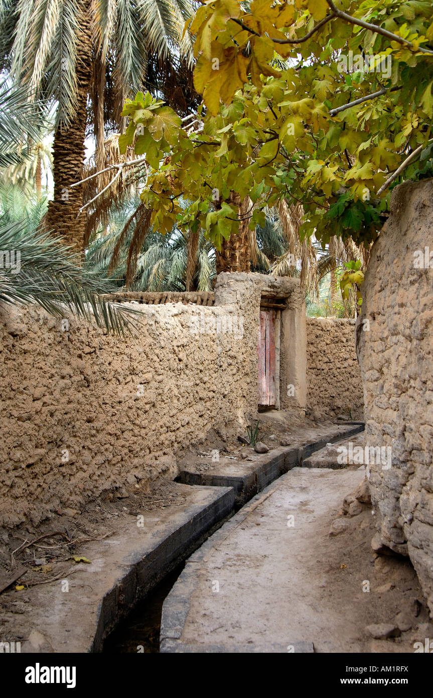 Irrigation canal in the oasis of Ghadames, UNESCO world heritage, Libya ...