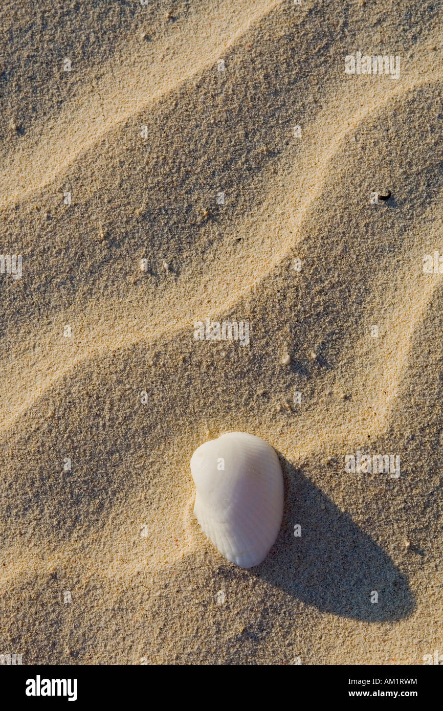 Formed from wind hi-res stock photography and images - Alamy
