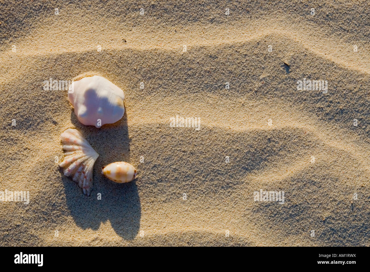 Formed From Wind High Resolution Stock Photography and Images - Alamy