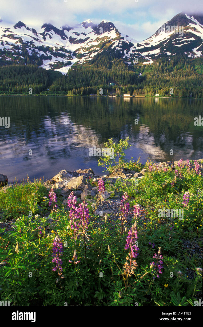 Eyak hi-res stock photography and images - Alamy