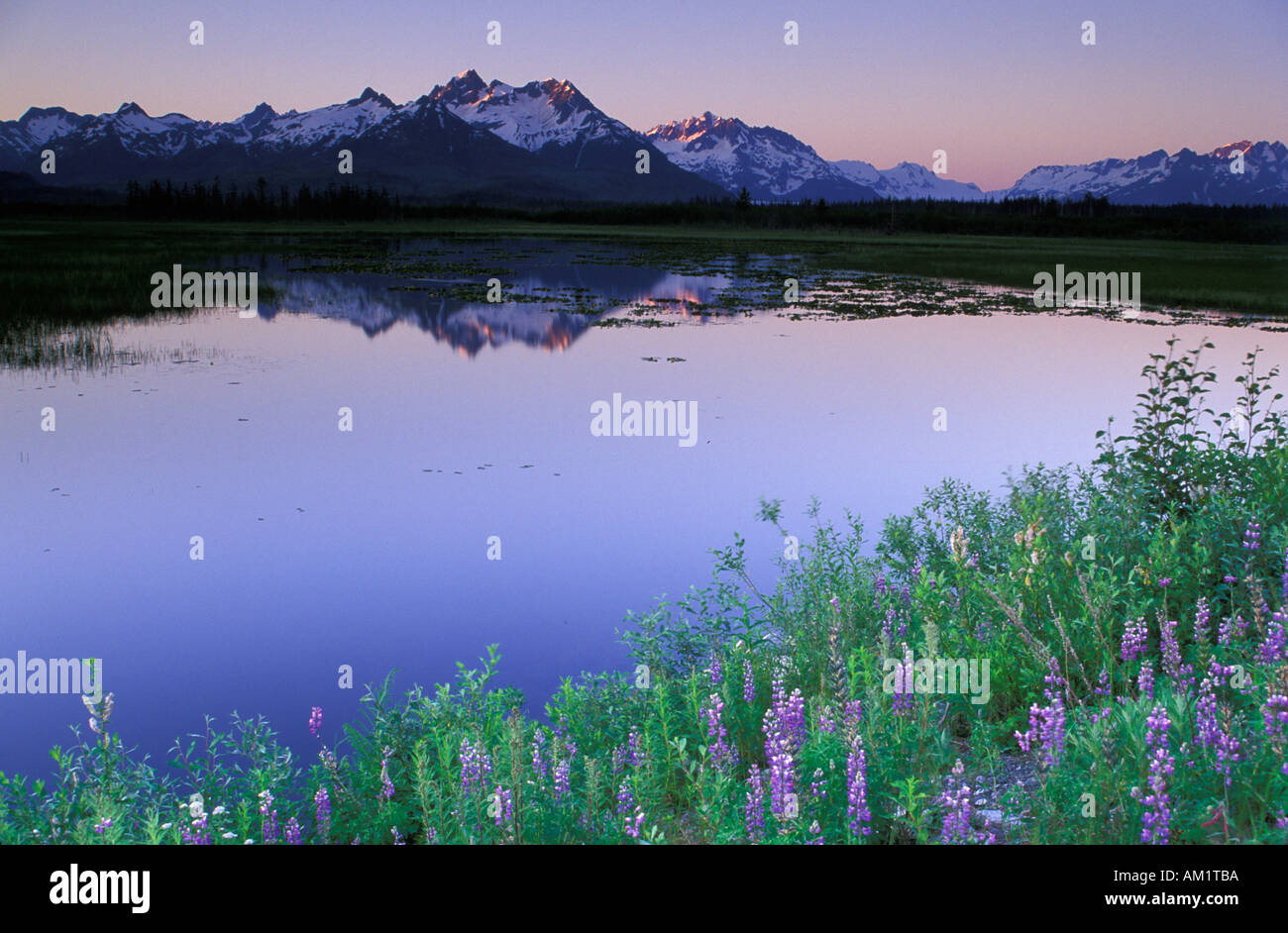 A slough on the Copper River Delta Chugach National Forest Cordova ...