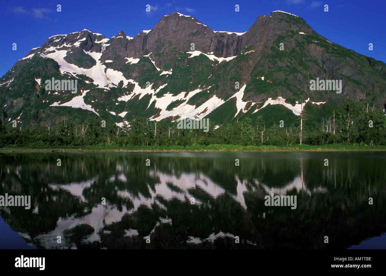 A lake on the Copper River Delta Chugach National Forest Cordova Alaska ...
