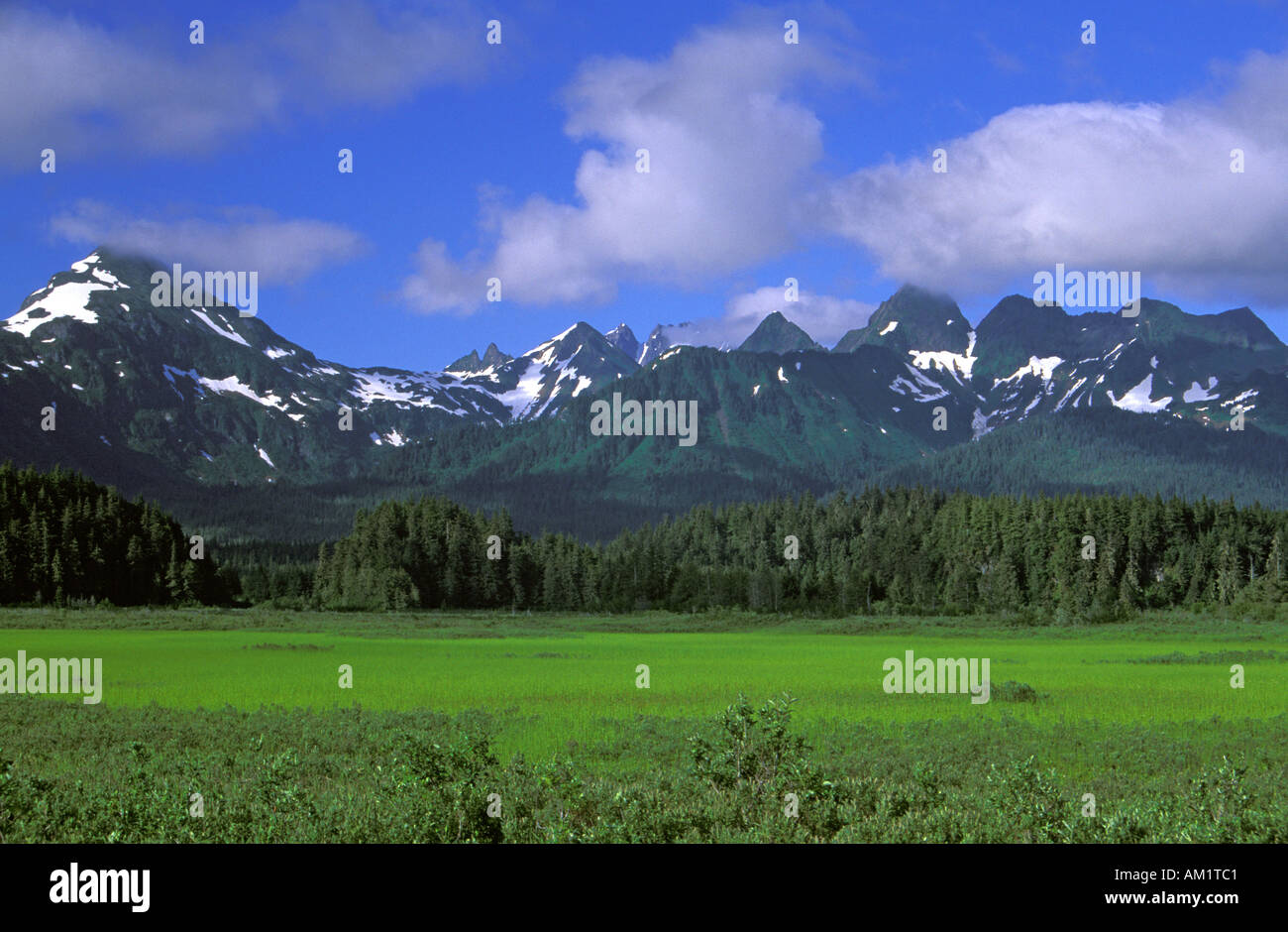 Alaganik Slough on the Copper River Delta Chugach National Forest ...