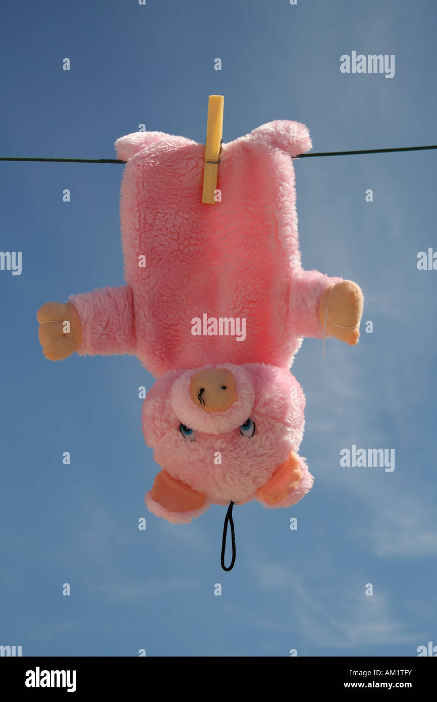 Little pig hung out to dry Stock Photo - Alamy