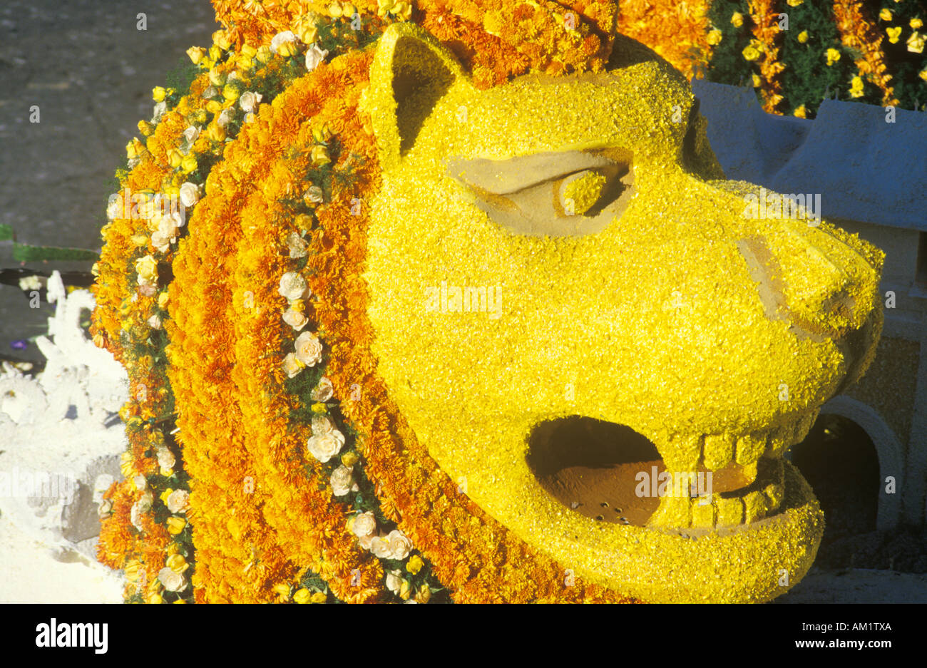 Lion Float in Rose Bowl Parade Pasadena California Stock Photo - Alamy