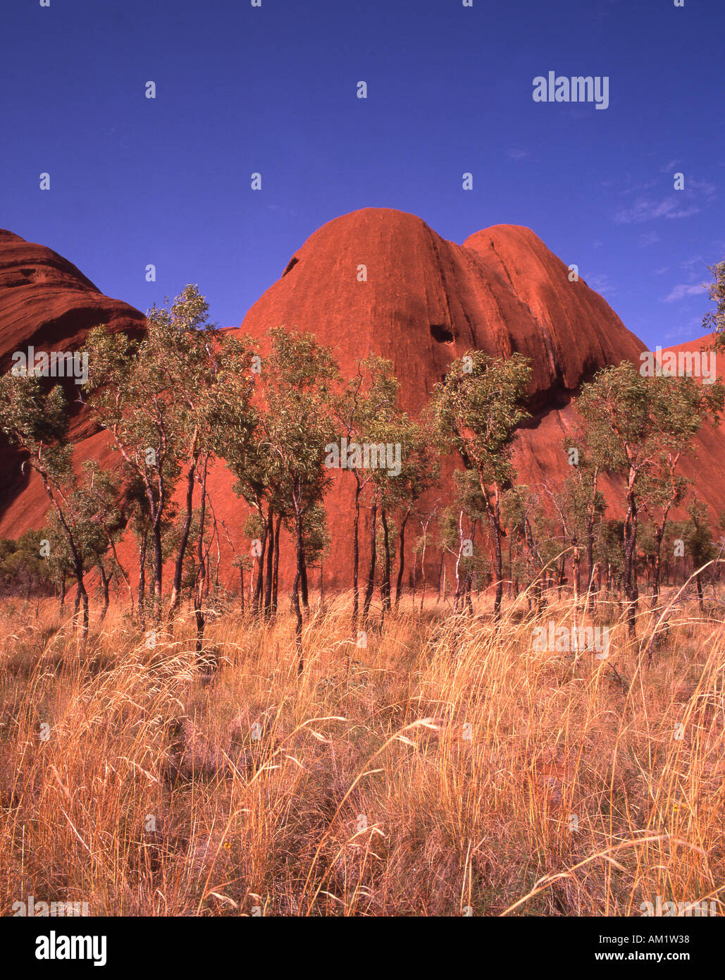 Australia Ayers Rock Stock Photo - Alamy