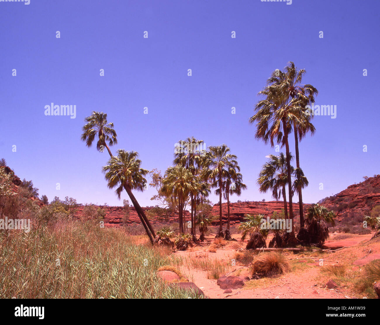 Australia Finke Gorge National Park Stock Photo - Alamy