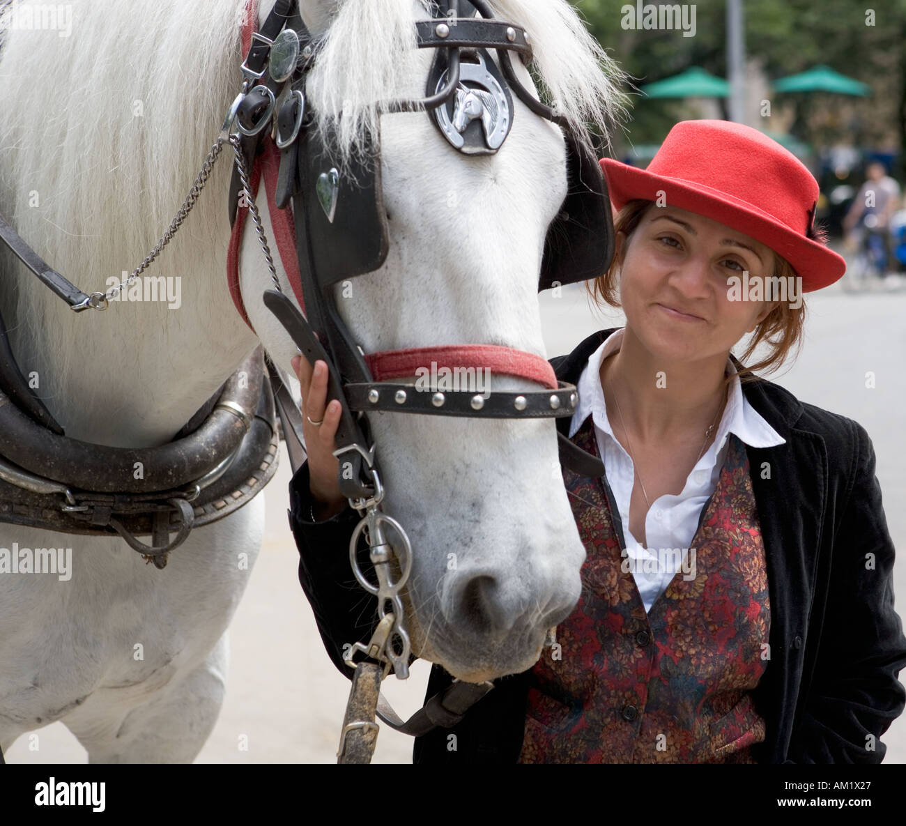 Horse drawn carriage driver with horse in Central Park Manhattan New ...