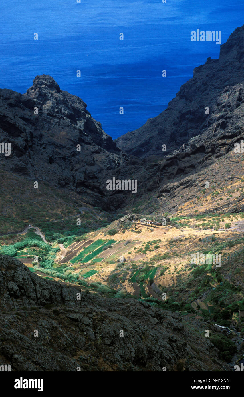 Los carrizales hi-res stock photography and images - Alamy