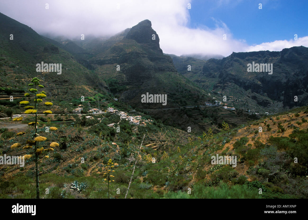 Teno gebirge hi-res stock photography and images - Alamy