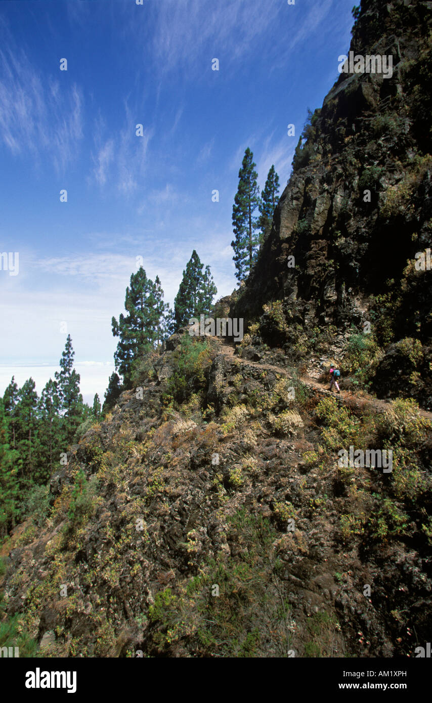 Orotava valley, Tenerife, Canary Islands, Spain Stock Photo - Alamy