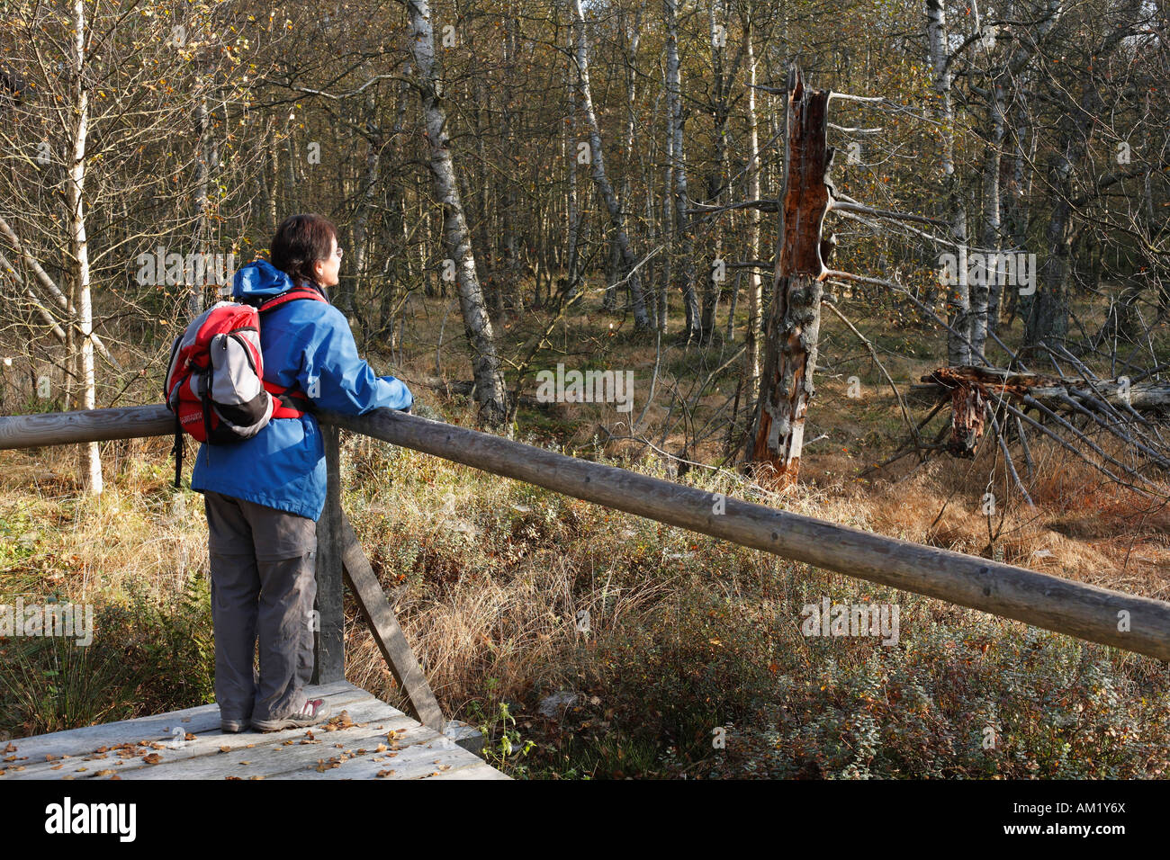 Red Moor, Rhoen, Hesse, Germany Stock Photo - Alamy