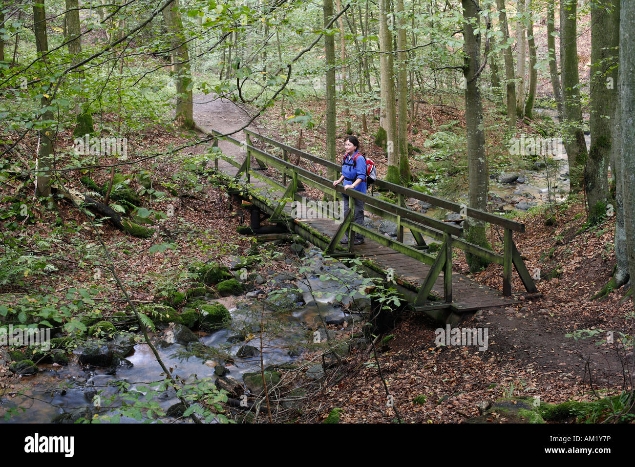 Kaskadenschlucht near Gersfeld, Rhoen, Hesse, Germany Stock Photo - Alamy