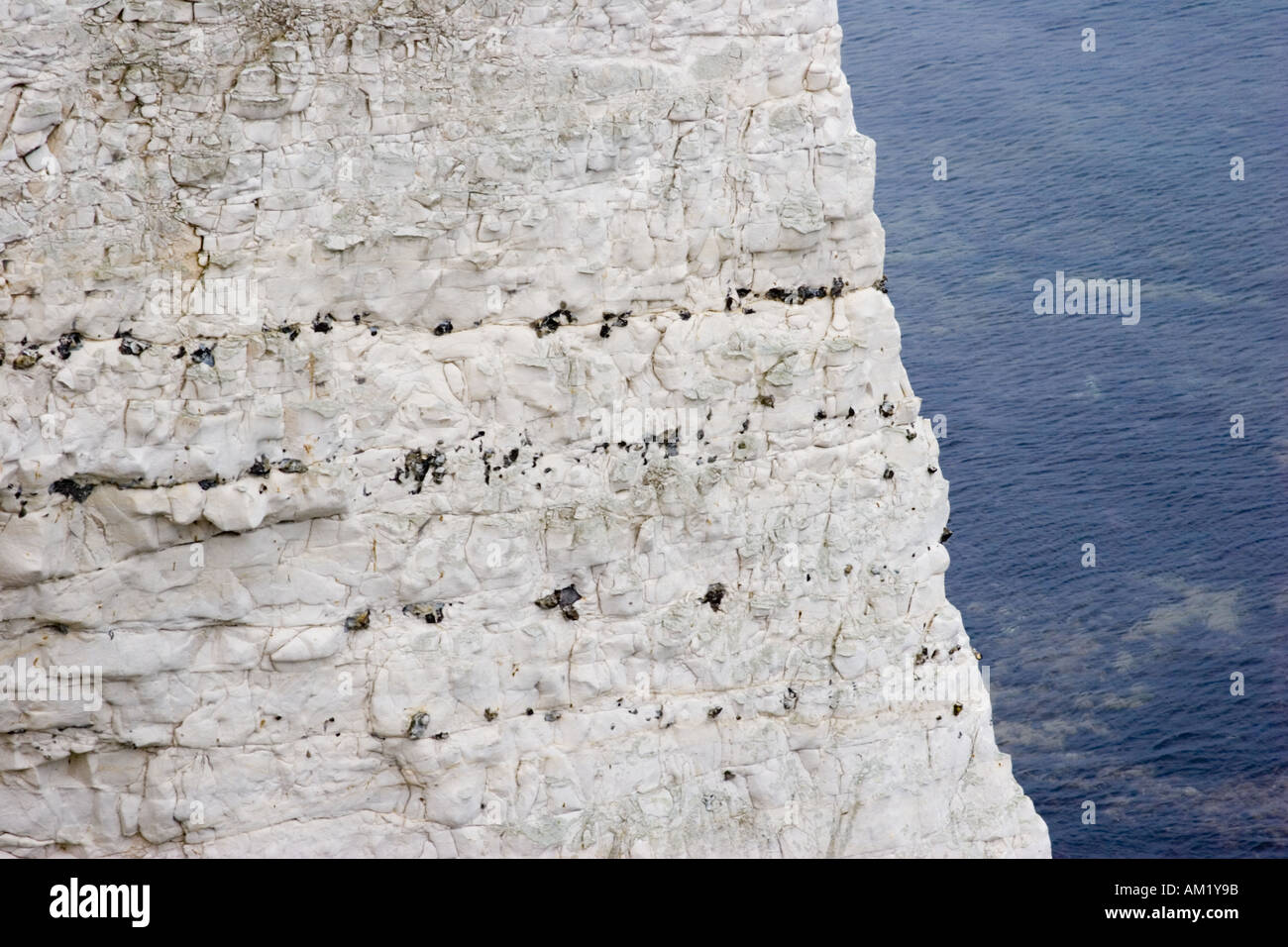 Flint band hi-res stock photography and images - Alamy