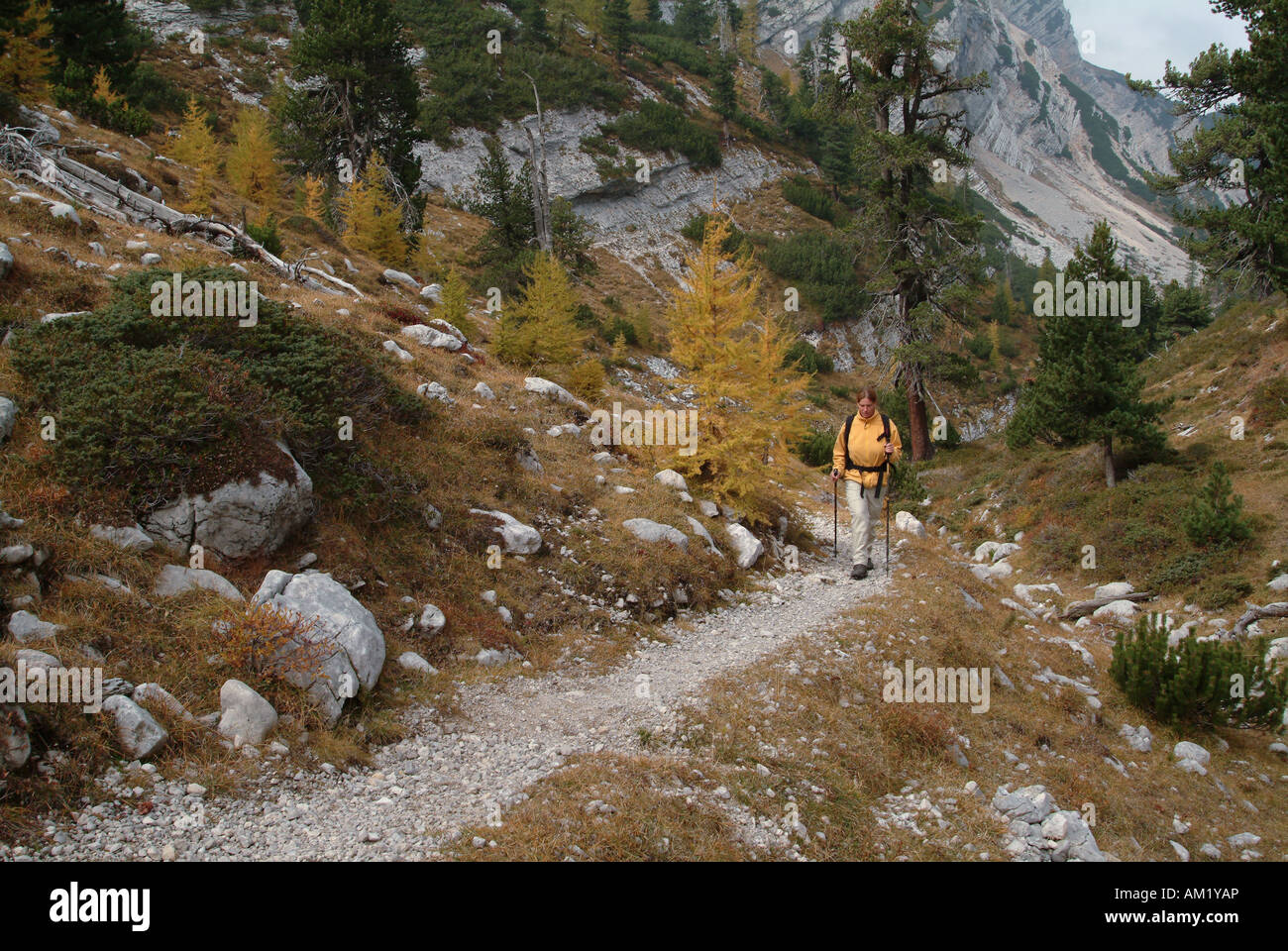 Landscape with hiker, Dolomites, South Tyrol, Italy Stock Photo - Alamy