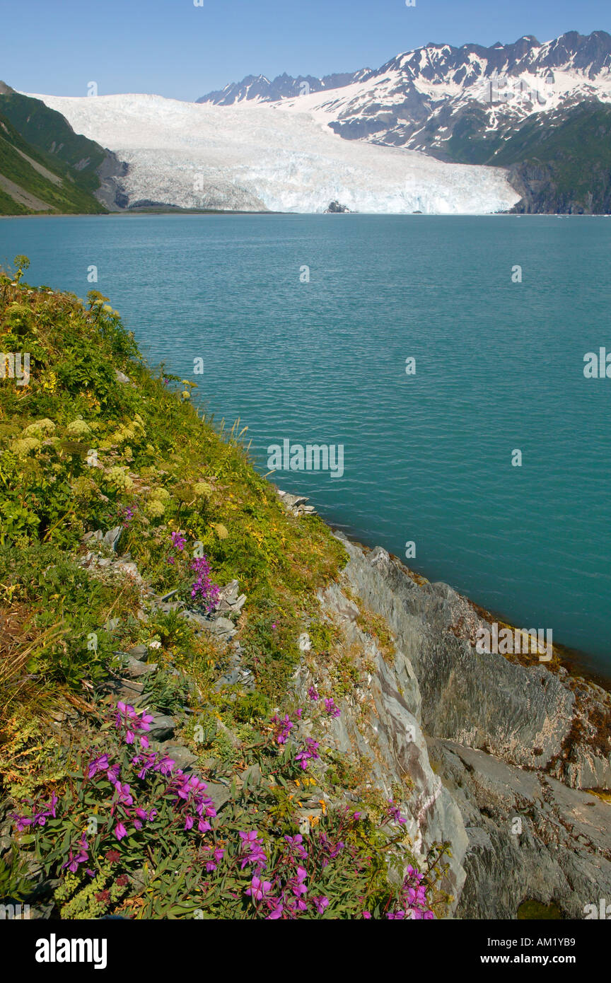 Aialik Glacier from Slate Island Aialik Bay Kenai Fjords National Park ...
