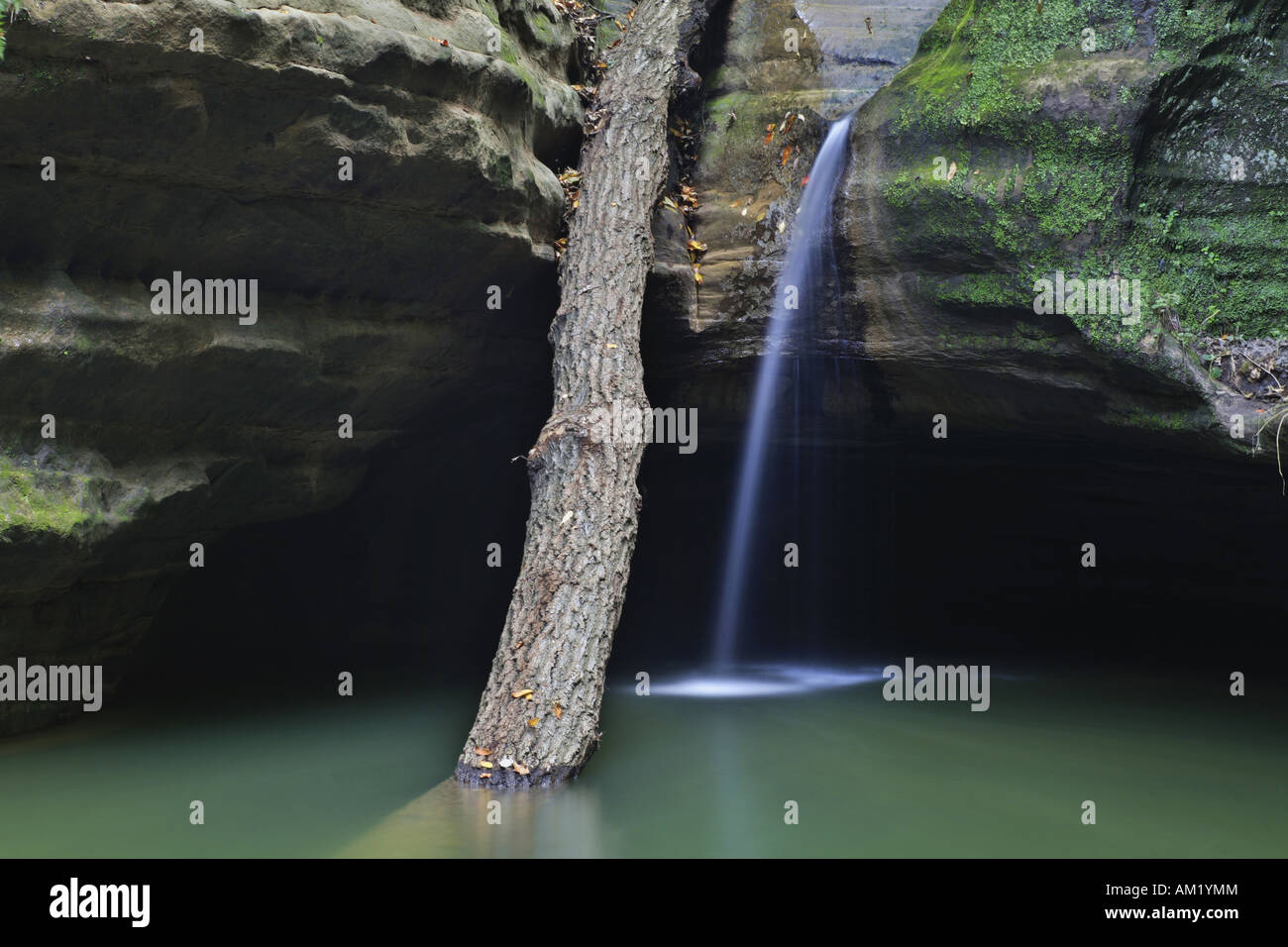 Waterfall and tree trunk showing light refraction in the water of a ...