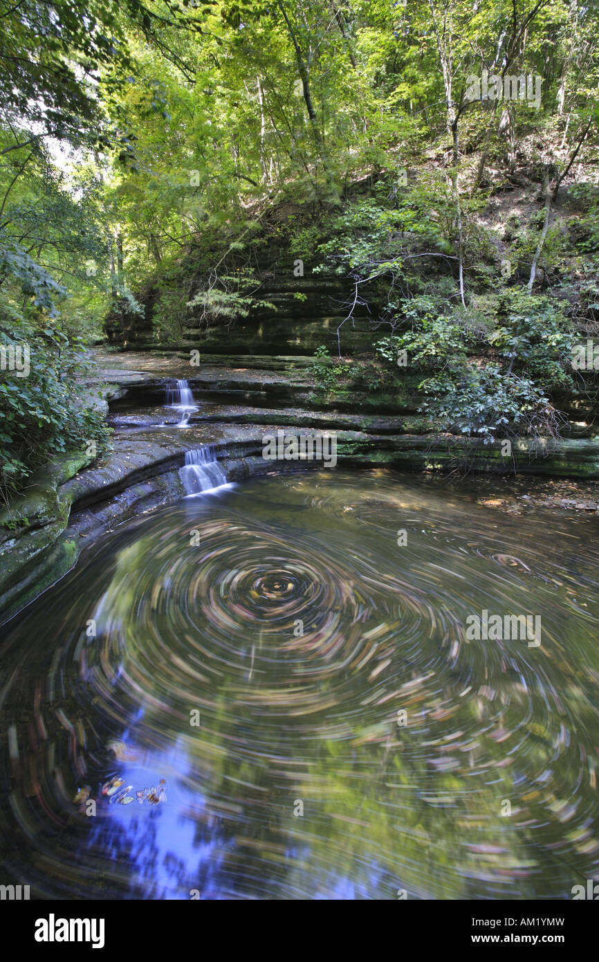 St. Peter Sandstone and the Giants Bathtub, a water pot where leaves ...