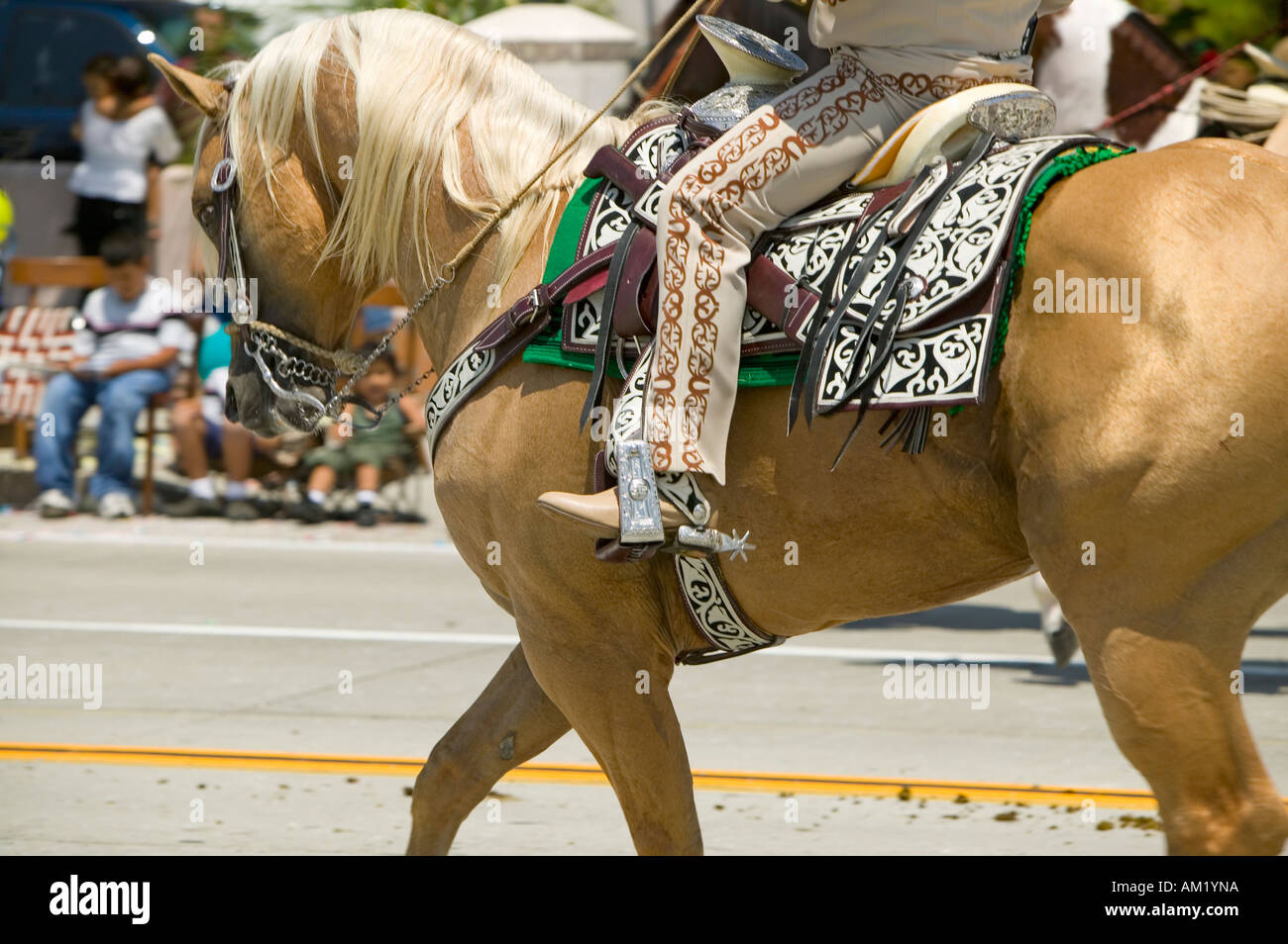 Spanish cowboy on horseback during opening day parade down State Street ...