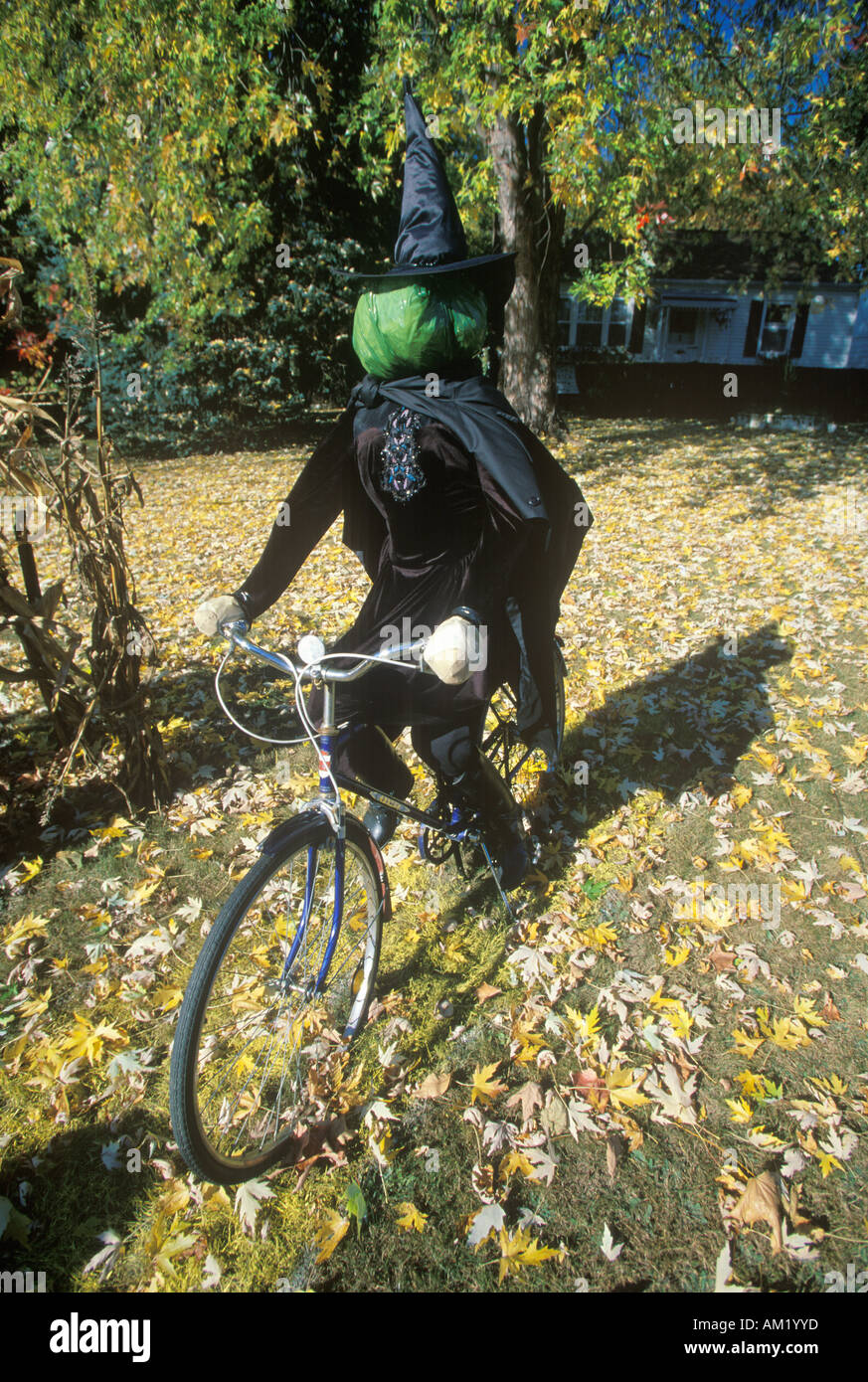 Halloween Witch on Bicycle New York State Stock Photo - Alamy