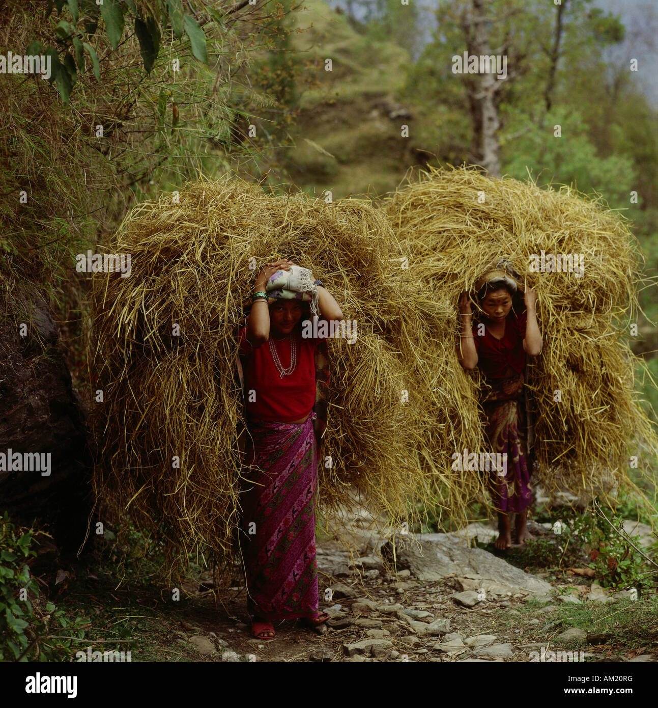 Kangchendjonga region hi-res stock photography and images - Alamy