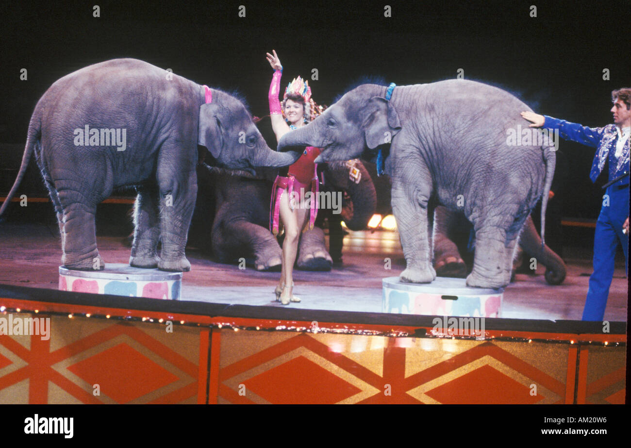 Baby Elephant Act Ringling Brothers Barnum Bailey Circus Stock Photo ...